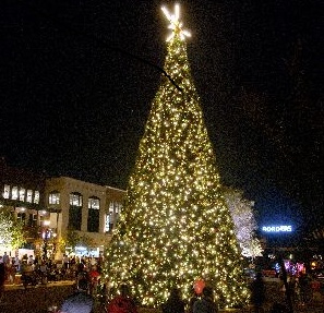 Market Street Tree Lighting Tonight | Woodlands Online