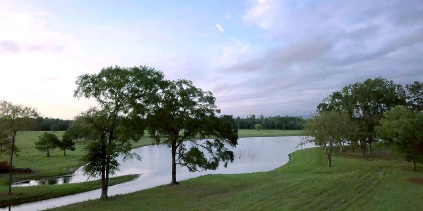 Patten Properties Announces The Next Great Acreage Community in Texas ...